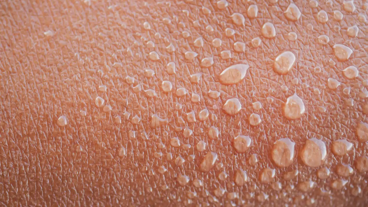 "La comida no me sabe a nada": Las claves tras la ageusia o pérdida del ...