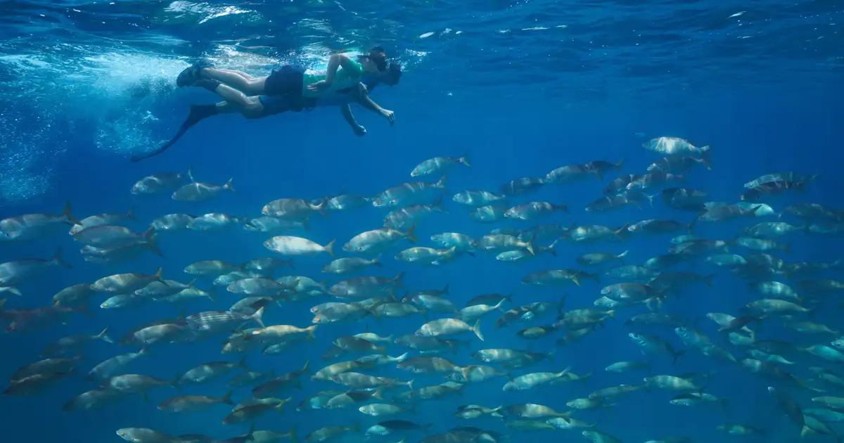 Temperaturas sin precedentes: el Mare Nostrum se transforma en un mar ...