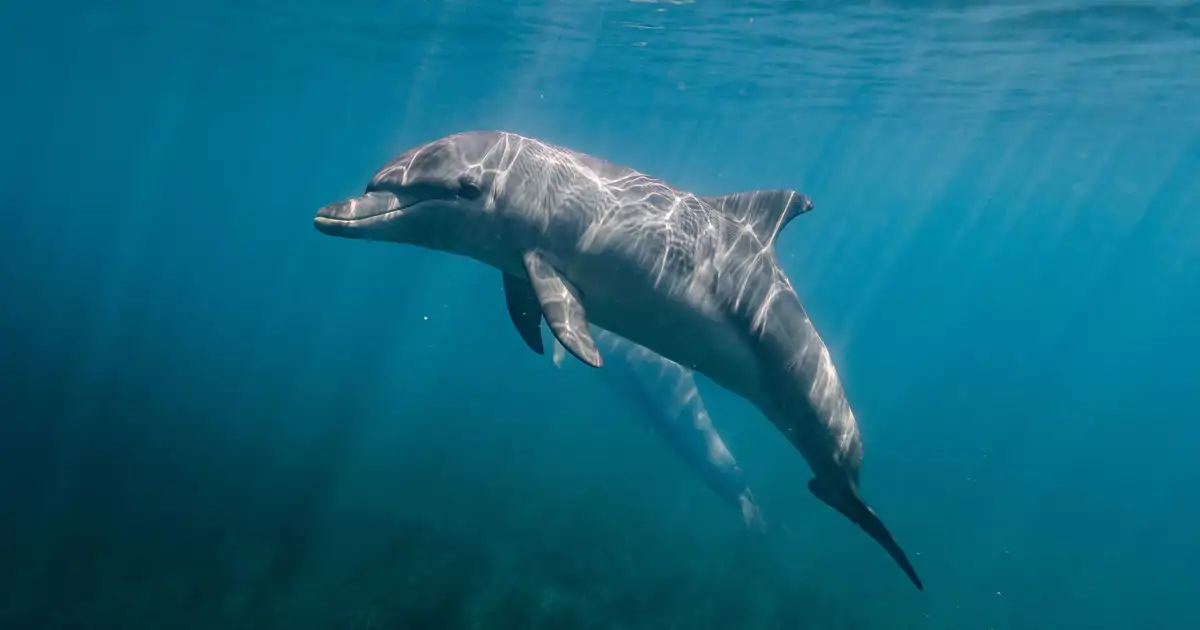 Video bokep yupi bali nonetheless, I would still advise her