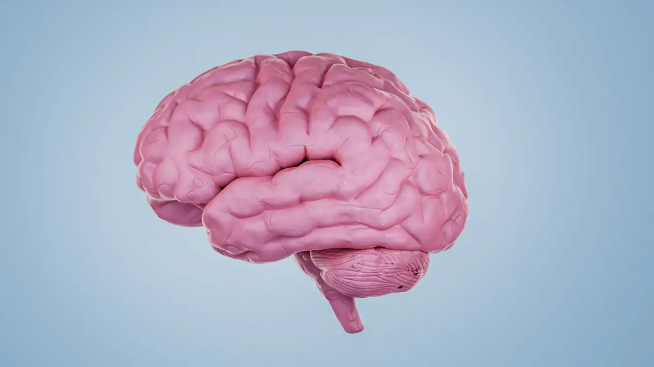 Gliese 12 b, el nuevo exoplaneta potencialmente habitable cercano a la ...