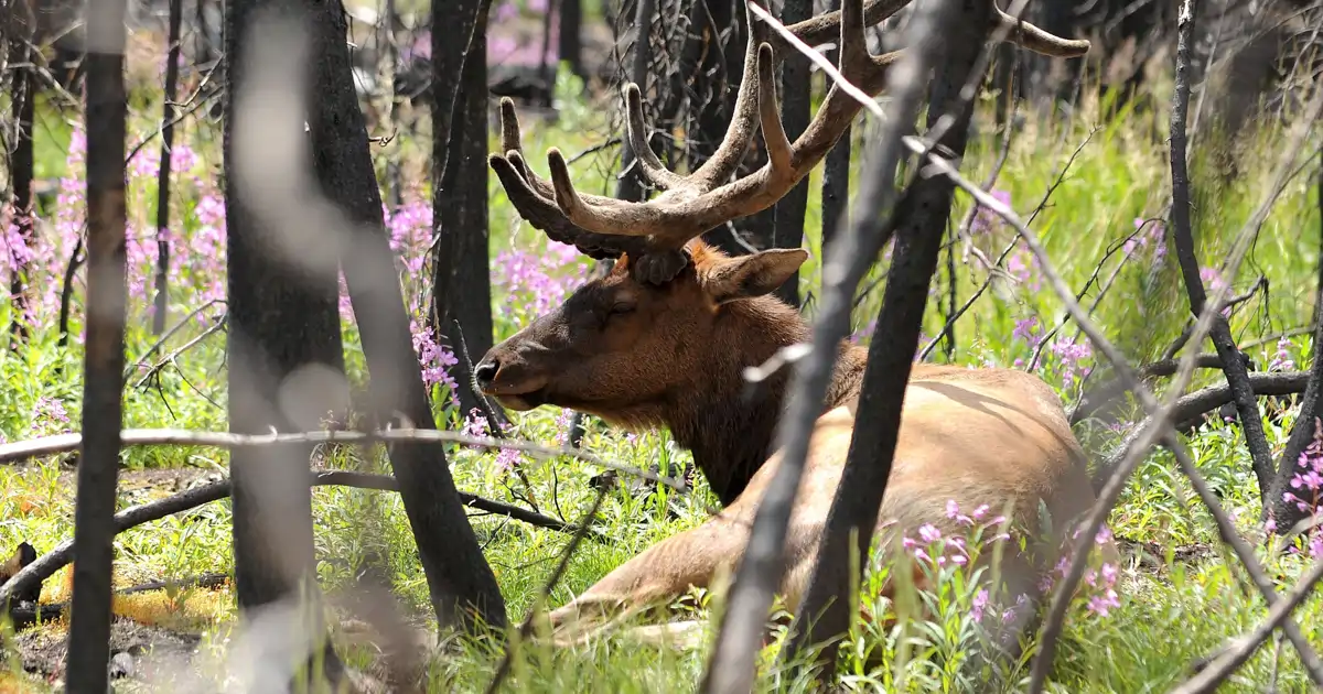 Onlyfans jaqueline souza she’s quite slender with great