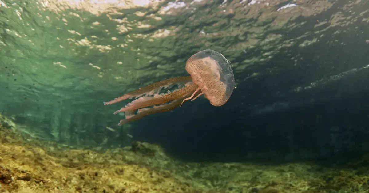 Emily ward onlyfans leak super nice plus this place feels