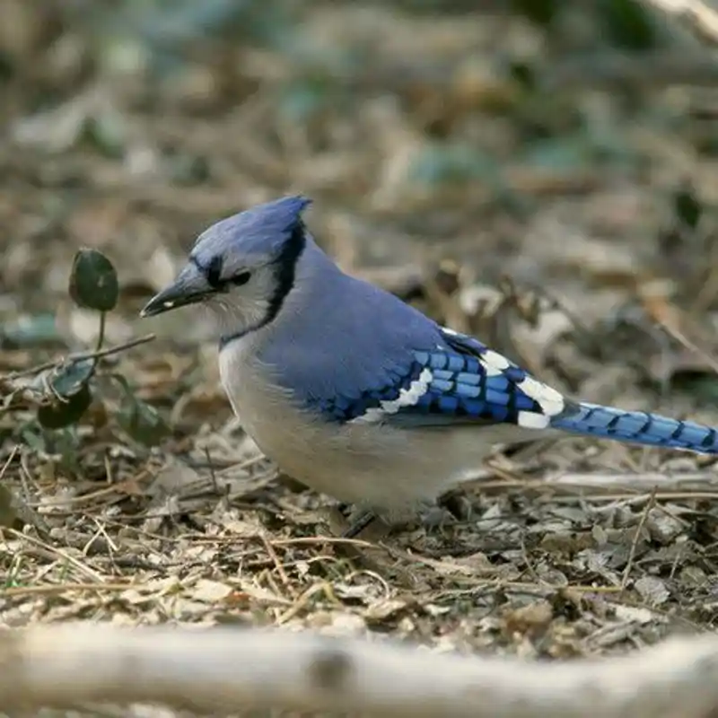 Reportajes y fotografías de natgeo en National Geographic