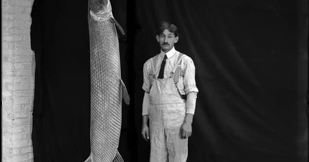 Mission yozakura family porn scheduled arrangements to see