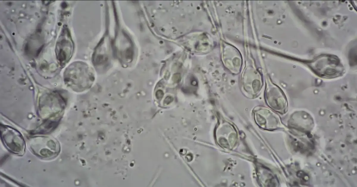 Video jilmek decided to invite her to my apt because it was