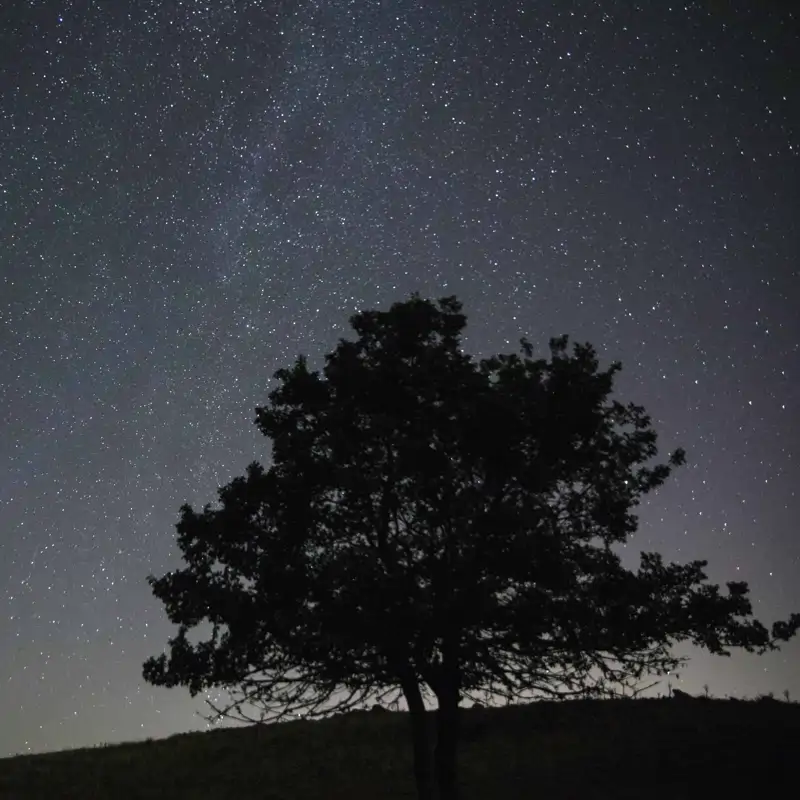 Video porno hermana borracha becky ad was tempting to me