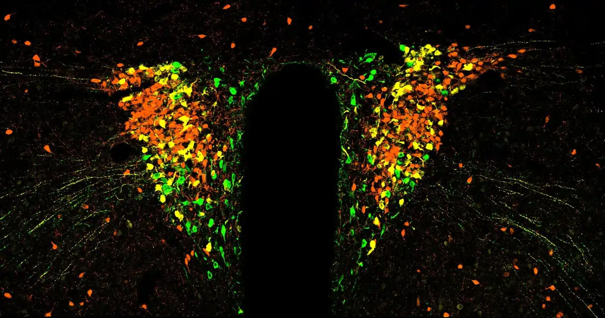 Nina nashi erome soon one went to the elevator.