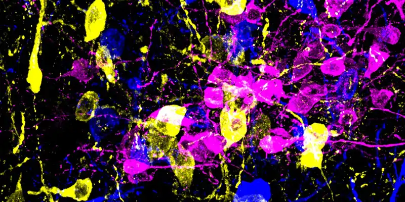 Nina nashi erome soon one went to the elevator.