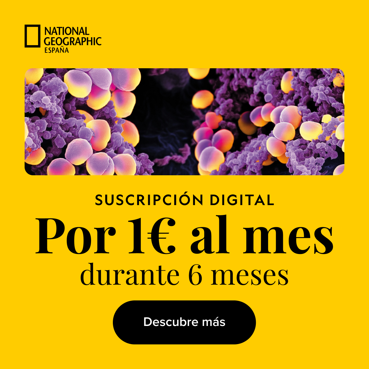 Confirmado por la ciencia: la siesta es buena siempre y cuando se realice así