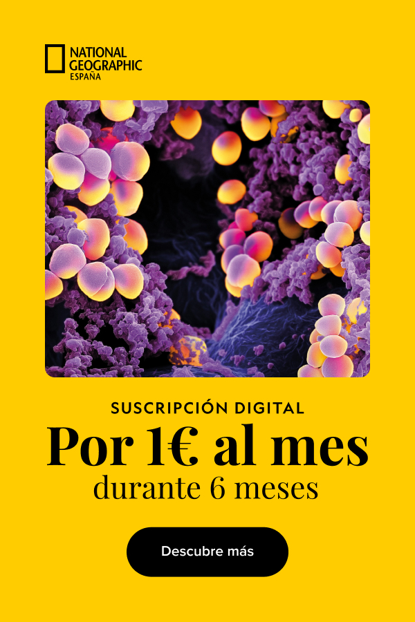 Confirmado por la ciencia: la siesta es buena siempre y cuando se realice así