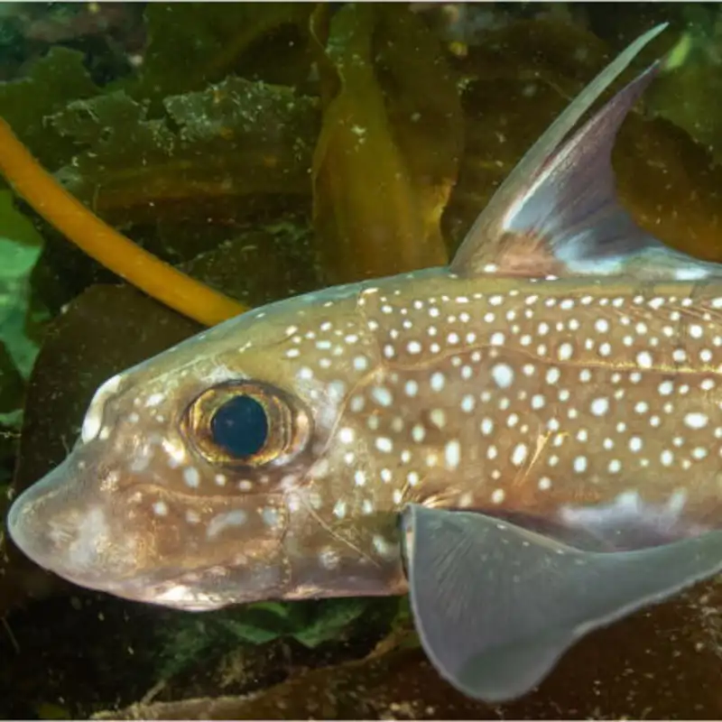 Reportajes y fotografías de Actualidad en National Geographic