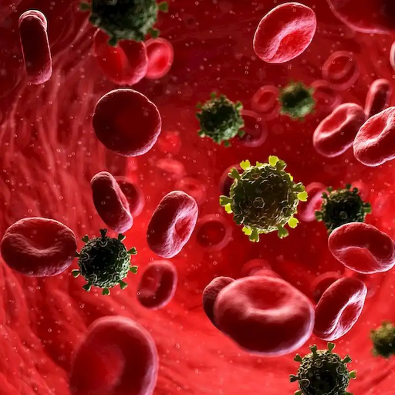 Las mejores fotos del eclipse lunar y la Superluna de Cosecha