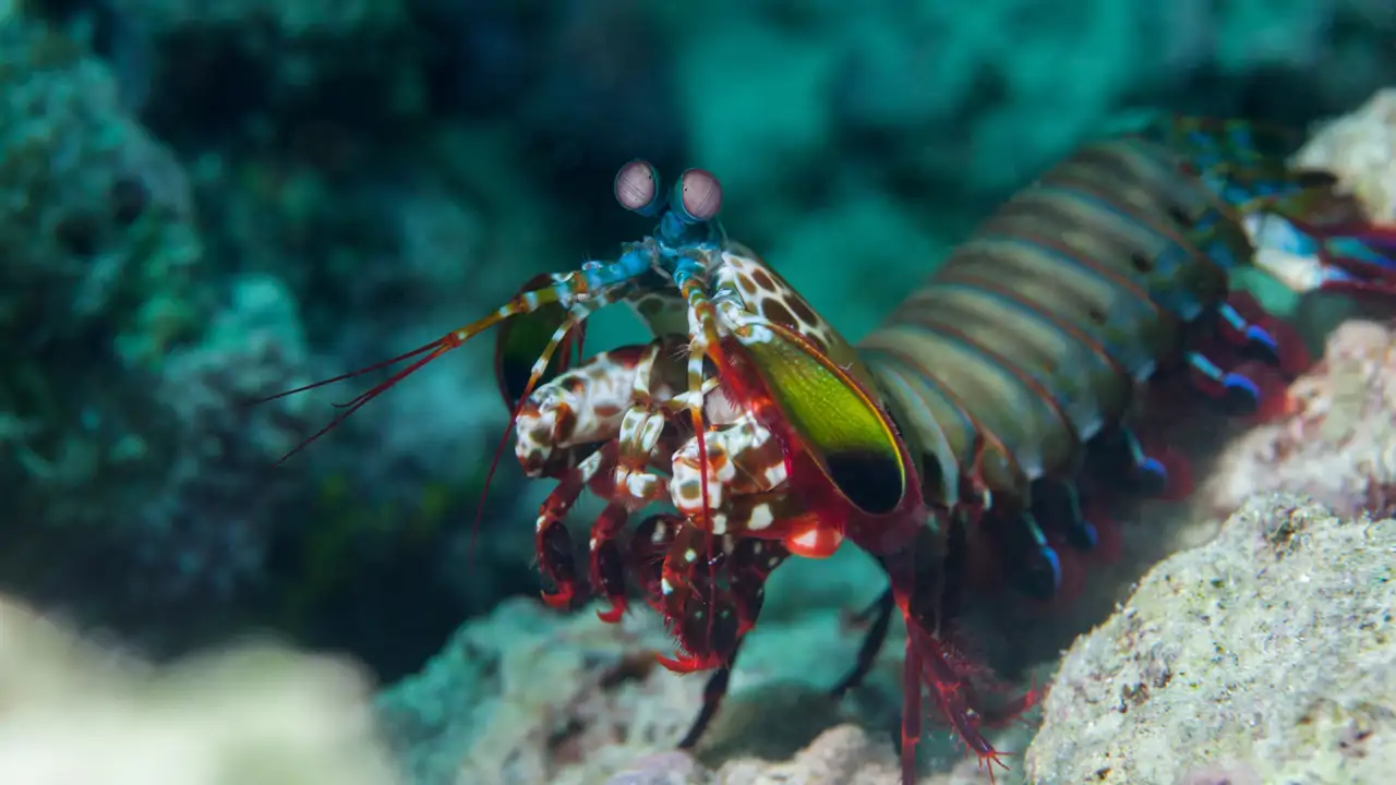 Se cumplen 25 años del temido efecto 2000