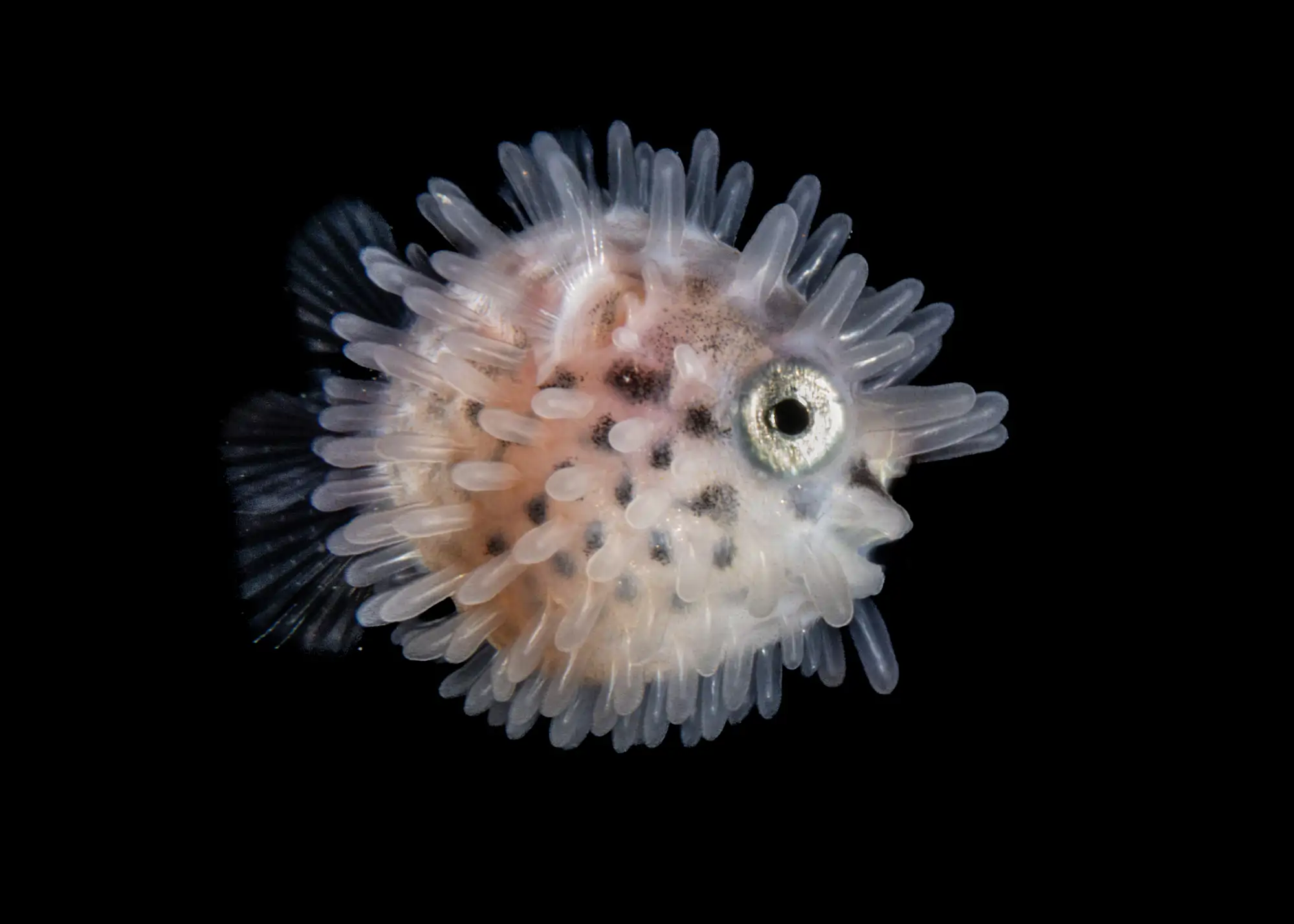 Las 7 fotos de la semana en National Geographic: el descanso del ...