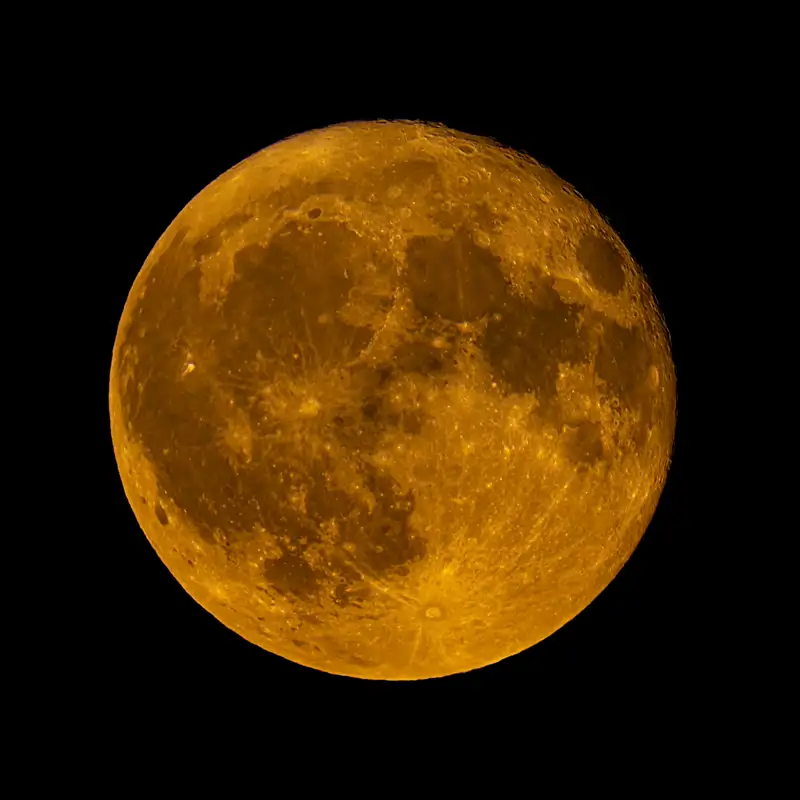 Principio de falsabilidad de Karl Popper: la prueba de oro para ...