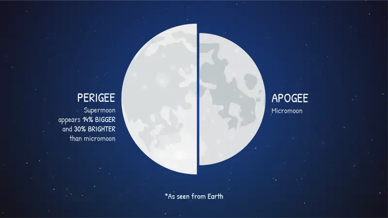 Cuándo y cómo ver la Superluna llena de noviembre, la más grande de 2025