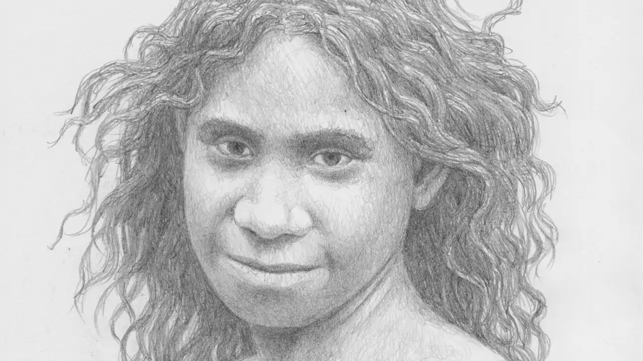 Científicos afirman haber descubierto una nueva especie de ancestro ...