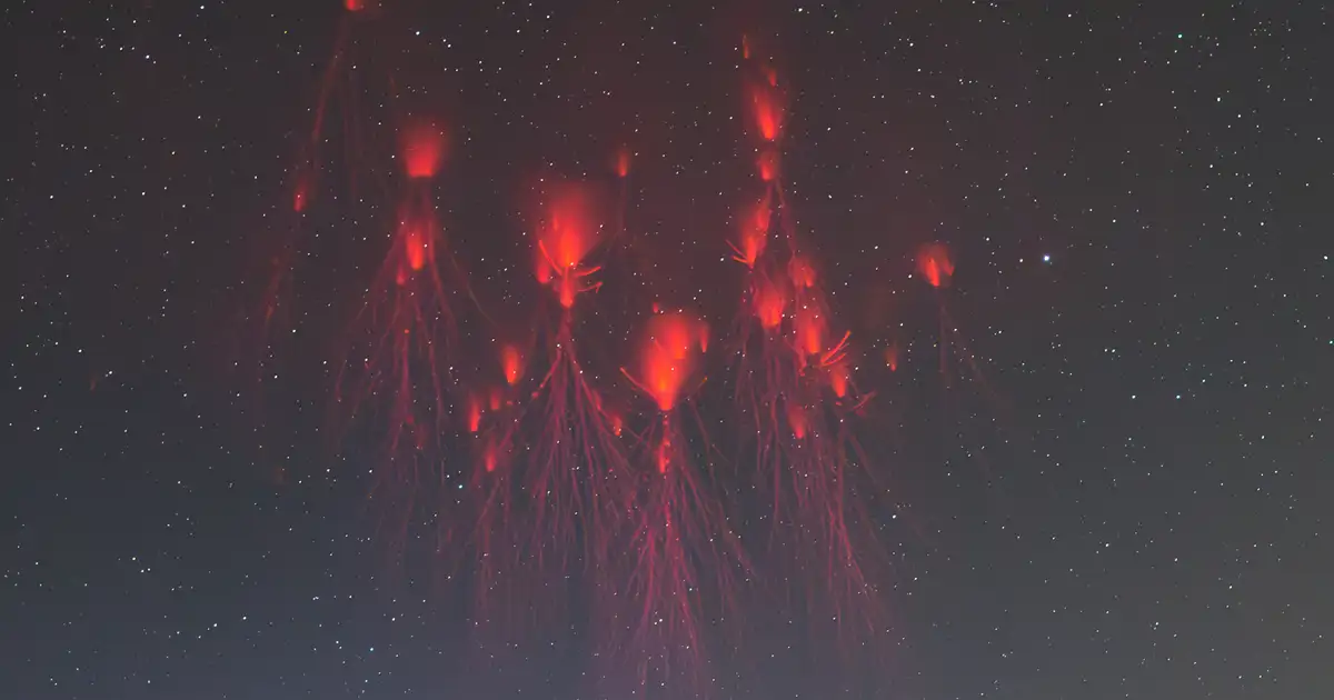 Por qué los “sprites” o duendes rojos son uno de los espectáculos más ...