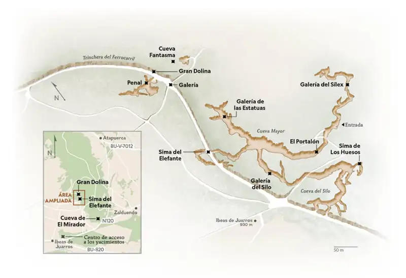 Atapuerca: el único lugar del mundo donde cinco especies compartieron ...