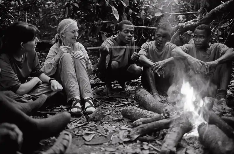 Jane Goodall, la mujer que hablaba con los chimpancés
