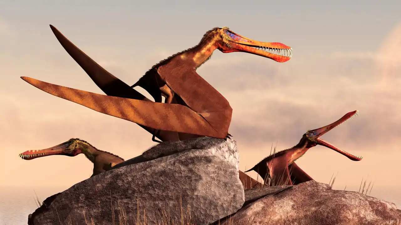 Las huellas de dinosaurios son más reveladoras de lo que creías