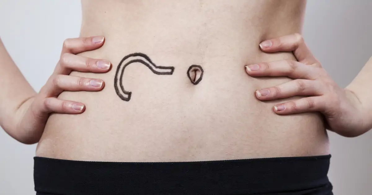 ¿Dónde conecta el ombligo por dentro del cuerpo? La ciencia tiene la ...