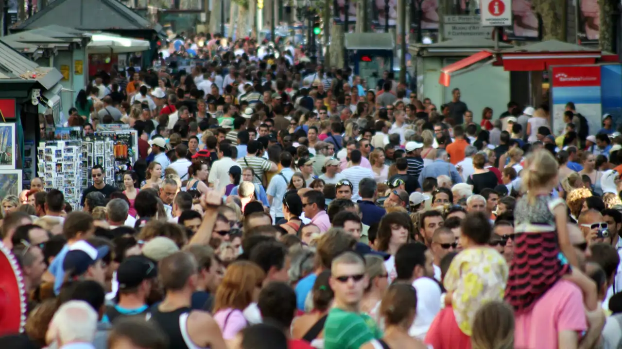 Así se está regenerando la vida marina en en el puerto de Barcelona ...