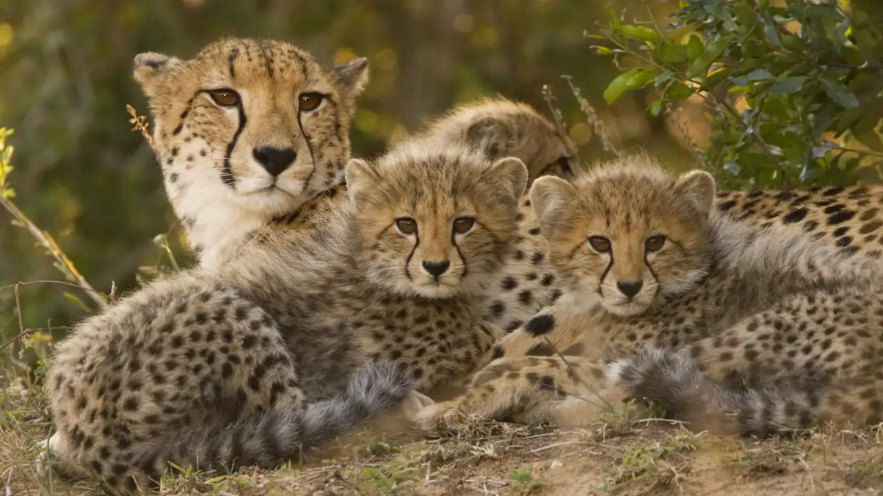 Qué es y cómo se escribe un editorial periodístico