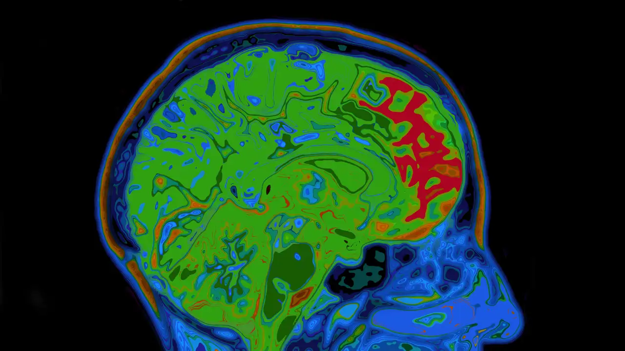 Rachel Carson, la madre del ecologismo moderno