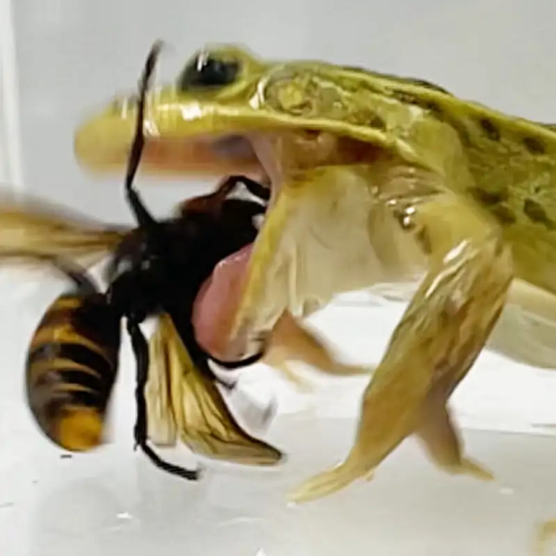 El calor y los plásticos: una combinación peligrosa