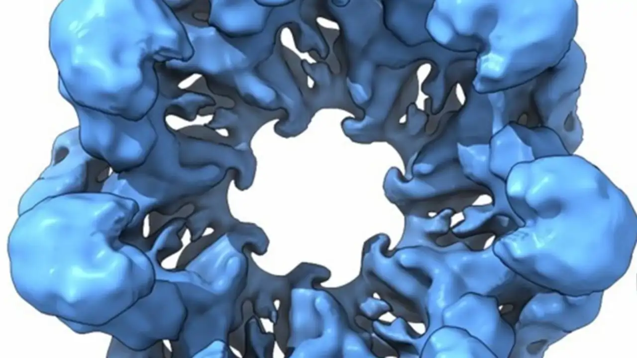 Rachel Carson, la madre del ecologismo moderno