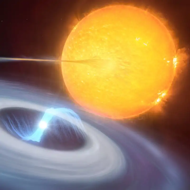 Principio de falsabilidad de Karl Popper: la prueba de oro para ...