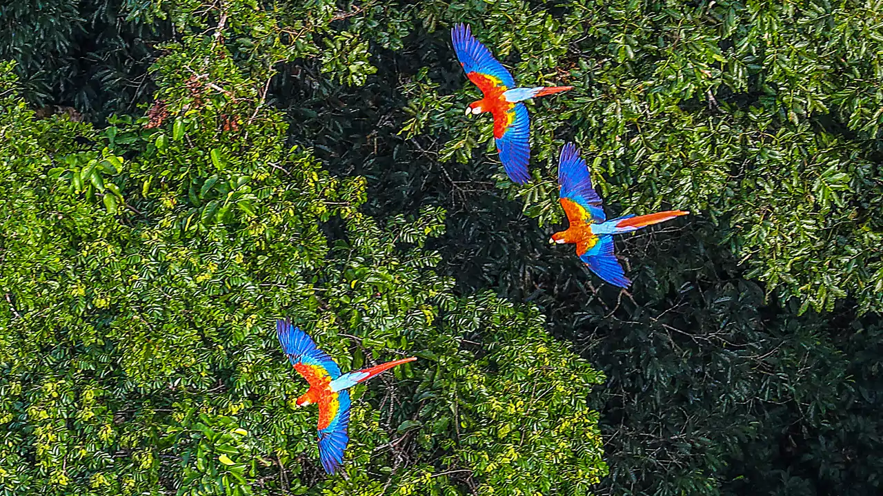 Estos son los lugares que serán inhabitables desde 2050, según la NASA