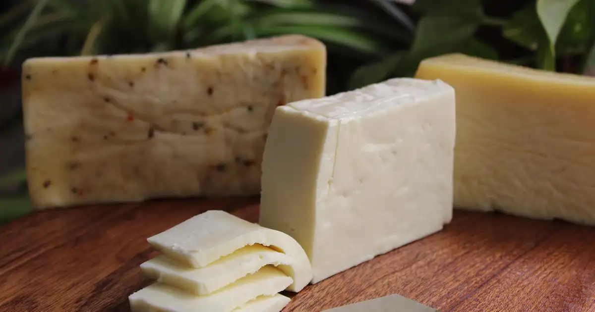 Cheese and Dementia: New Study Sparks Debate Among Scientists - Archynewsy