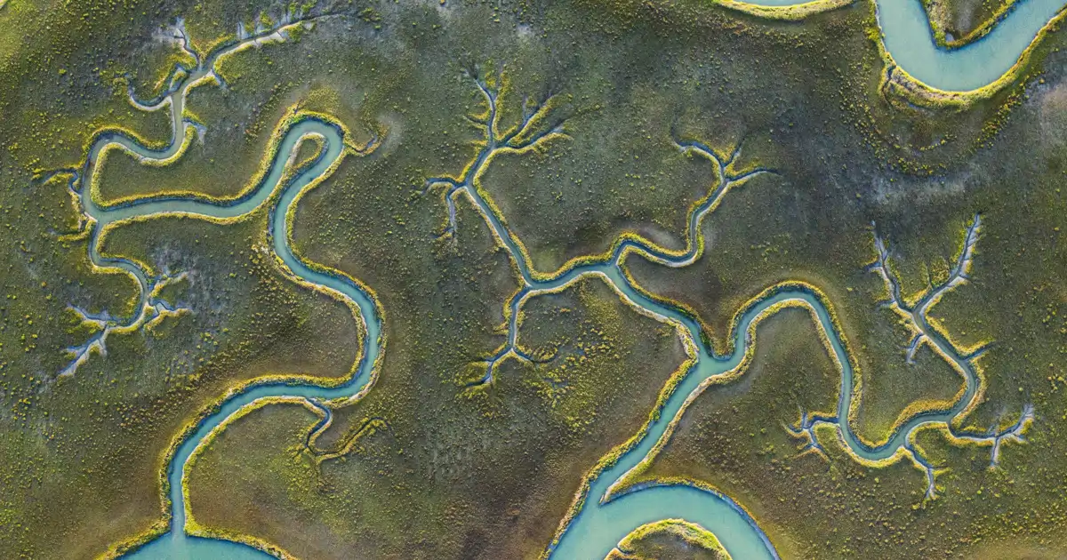 Las arterias de la marisma