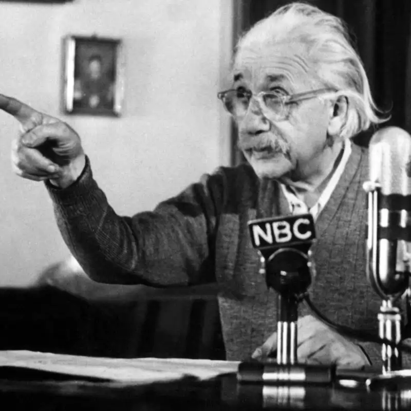 El último secreto de los pulpos: observan 4.000 movimientos de sus ...