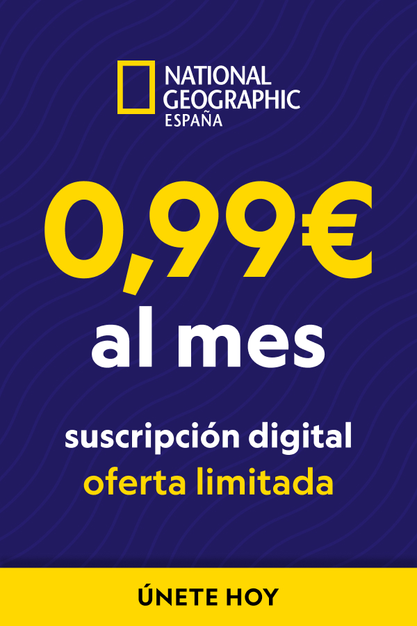 ¿Qué es el marimo y qué amenaza a estas extrañas pelotas de algas?