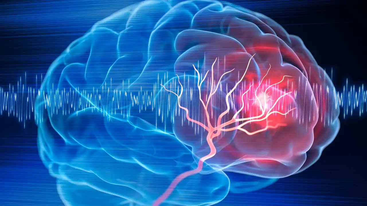 Así se forman los pensamientos en el cerebro: "Es uno de los grandes ...
