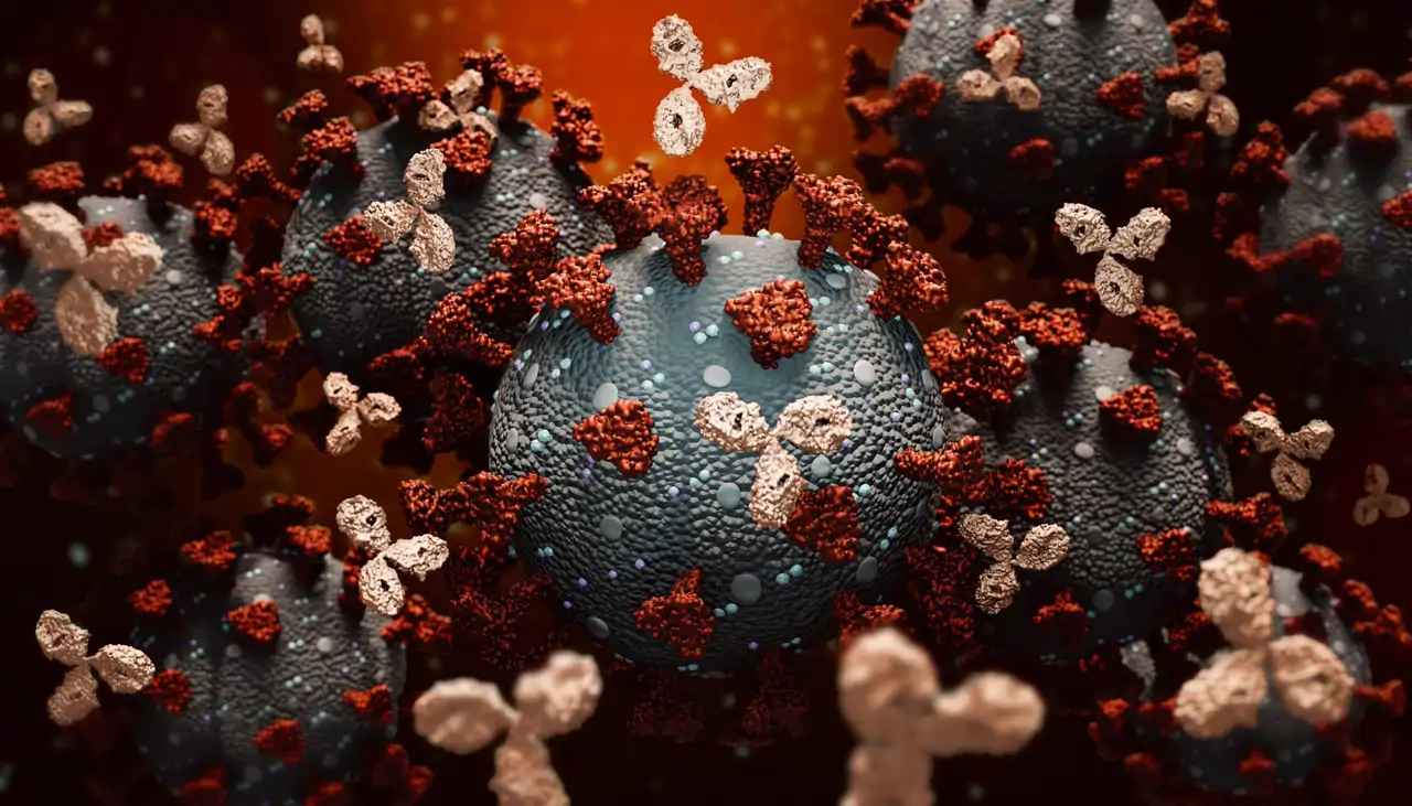 Este es el mapa más detallado de la inflamación del cuerpo humano