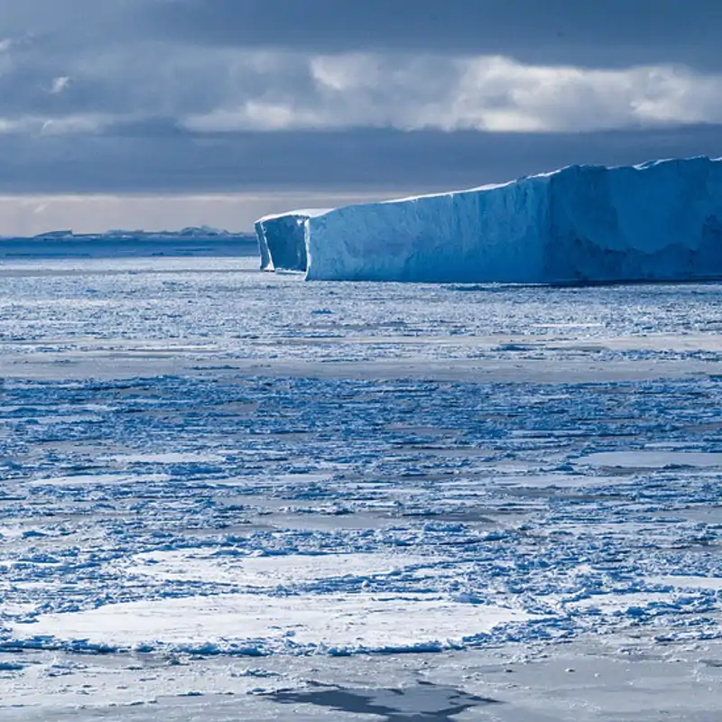 En la cultura azteca, este perro mexicano guiaba a las almas al inframundo