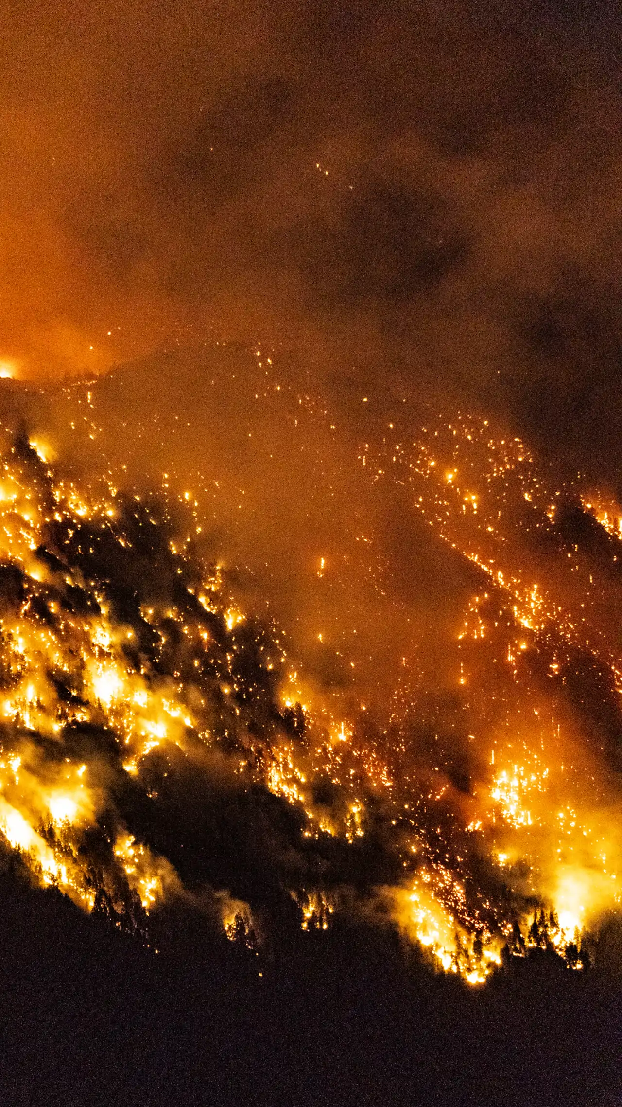 Un incendio arrasa con la Patagonia: denuncian “ecocidio” mientras las ...