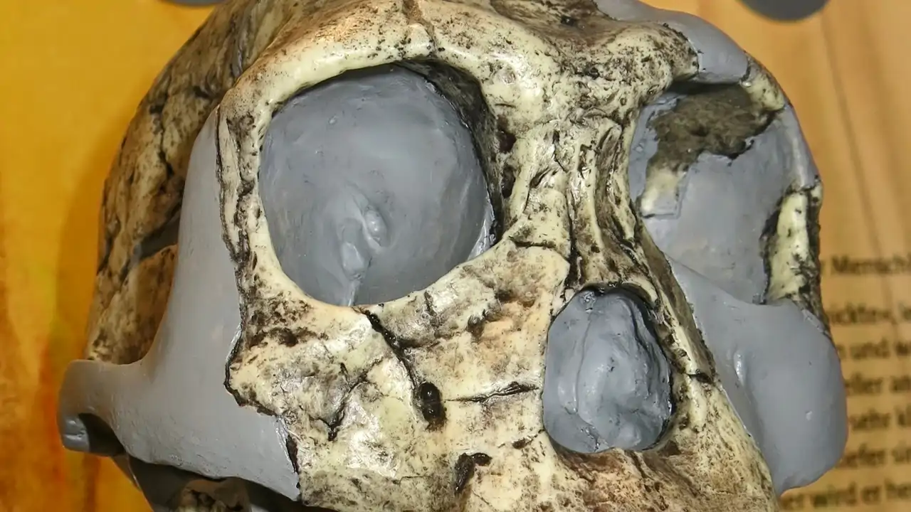 Las huellas de dinosaurios son más reveladoras de lo que creías