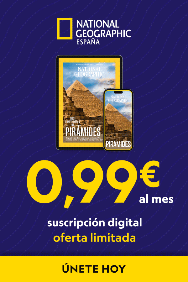 ¿Qué es el marimo y qué amenaza a estas extrañas pelotas de algas?