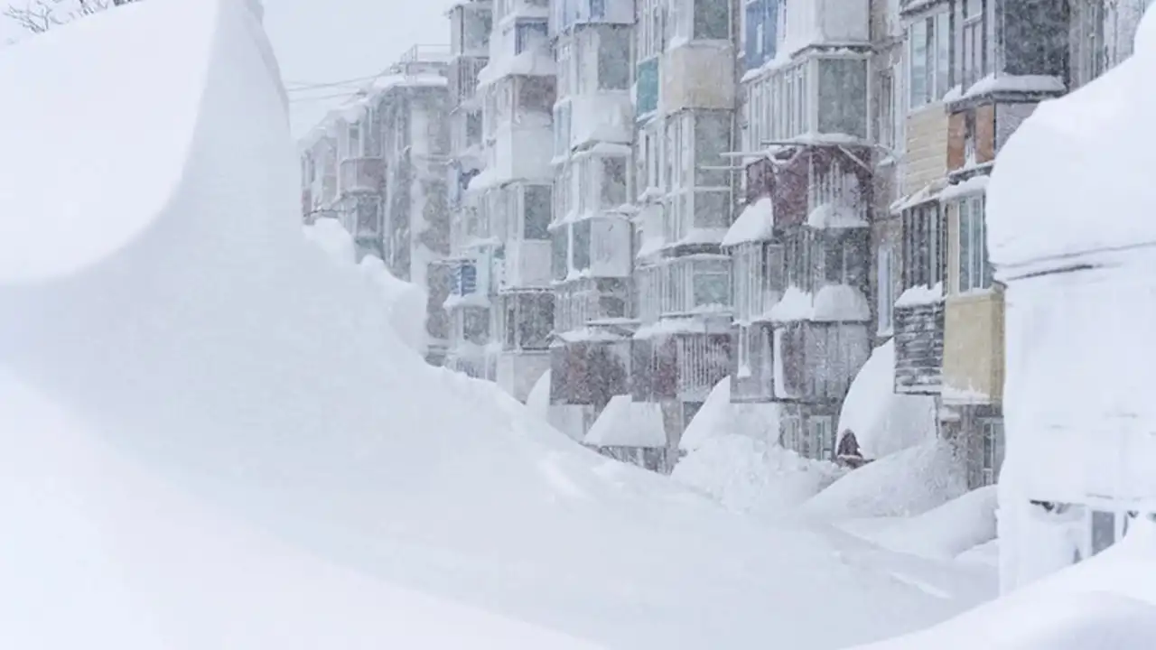 ¿Qué es el marimo y qué amenaza a estas extrañas pelotas de algas?