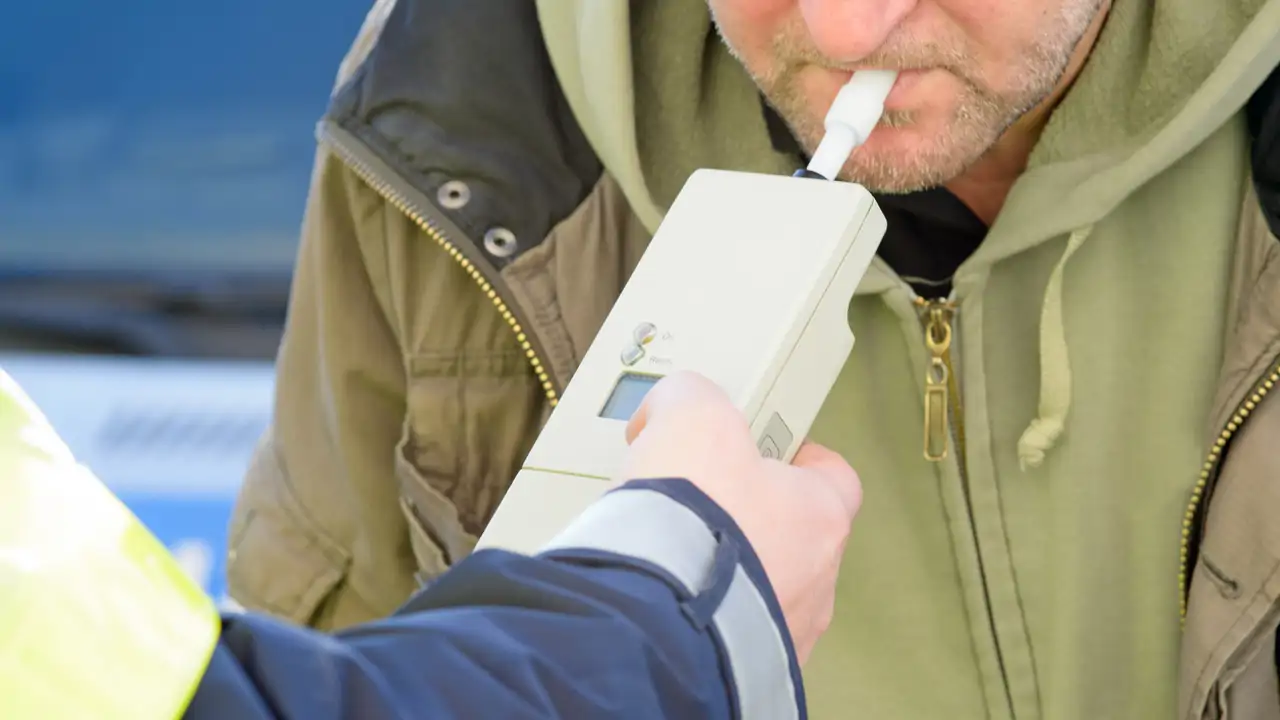 La memoria como biblioteca compleja