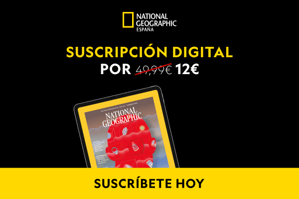 ¿Qué es el marimo y qué amenaza a estas extrañas pelotas de algas?