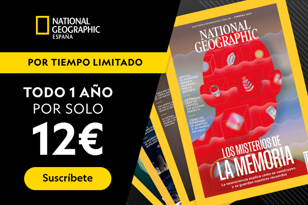 Neón (Ne): Propiedades químicas del elemento de la tabla periódica