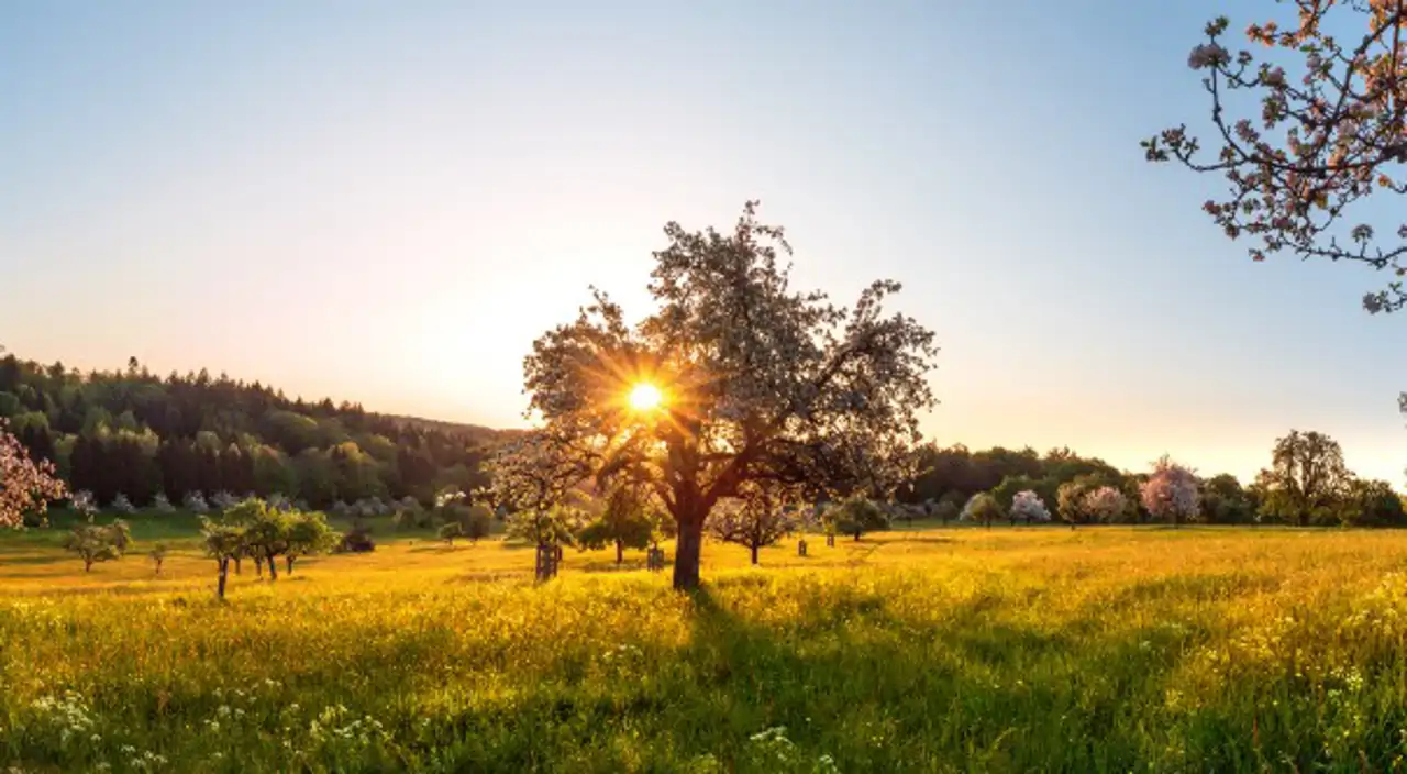 Equinoccio de primavera 2026: ¿qué es y cuándo tiene lugar?